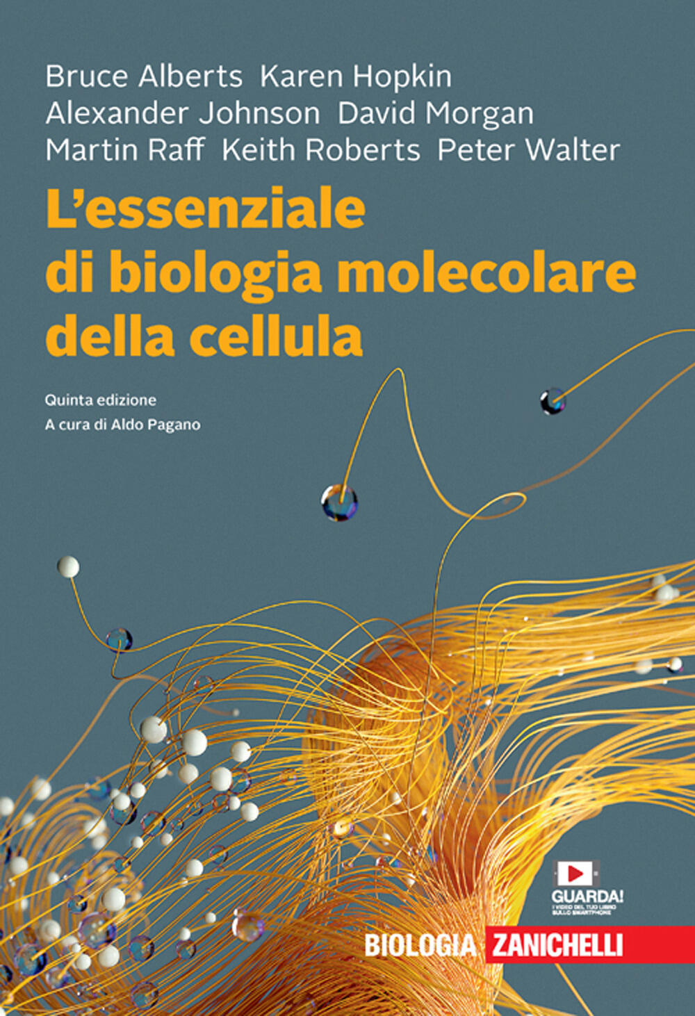 L' essenziale di biologia molecolare della cellula. Con Contenuto digitale (fornito ...